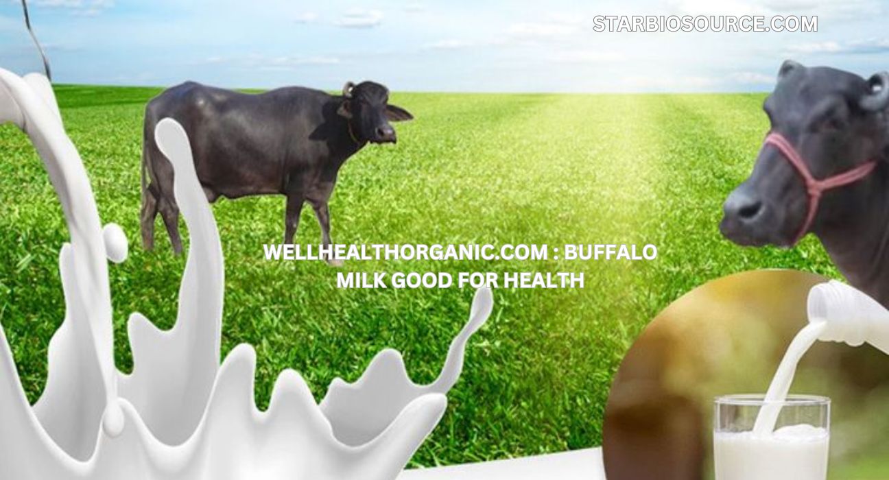 Wellhealthorganic.com: Buffalo Milk Good for Health - starbiosource.com